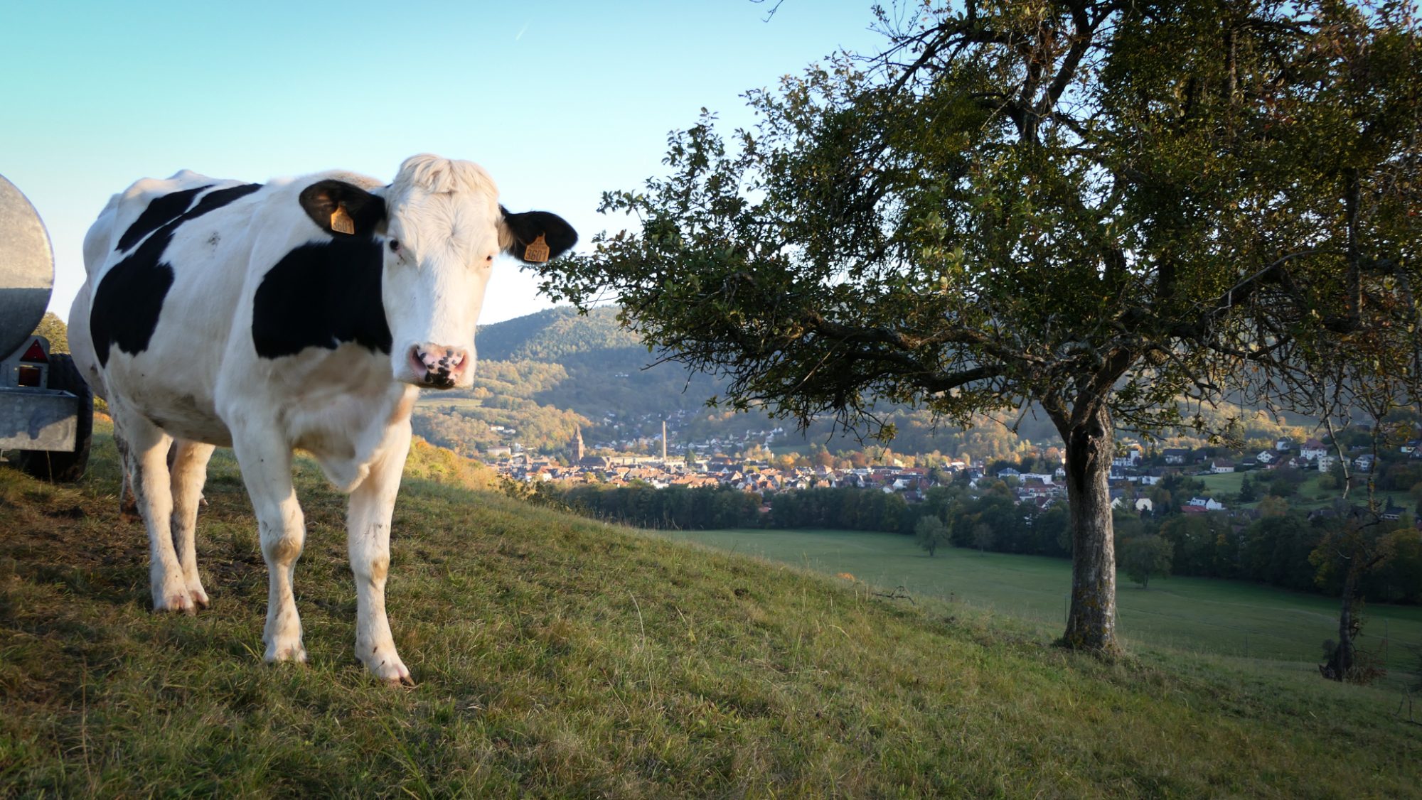Soutien à nos agriculteurs | Ville de Munster (Alsace)